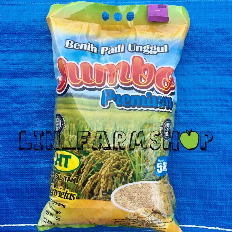 Jual BENIH PADI IR 64 JUMBO PREMIUM 5 KG | Shopee Indonesia