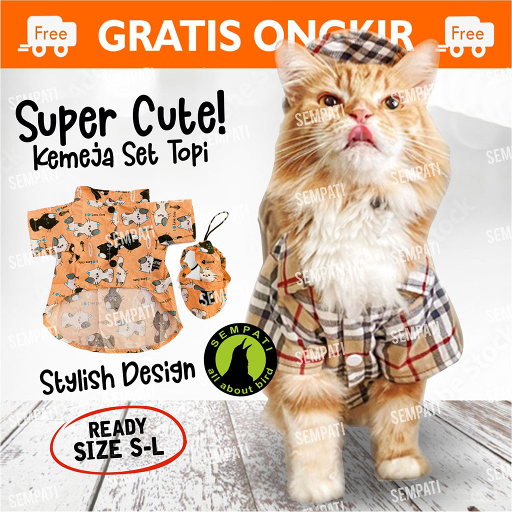 Jual SEMPATI Baju Kemeja Kucing Plus Topi Cat Clothes Shirt Bundle ...