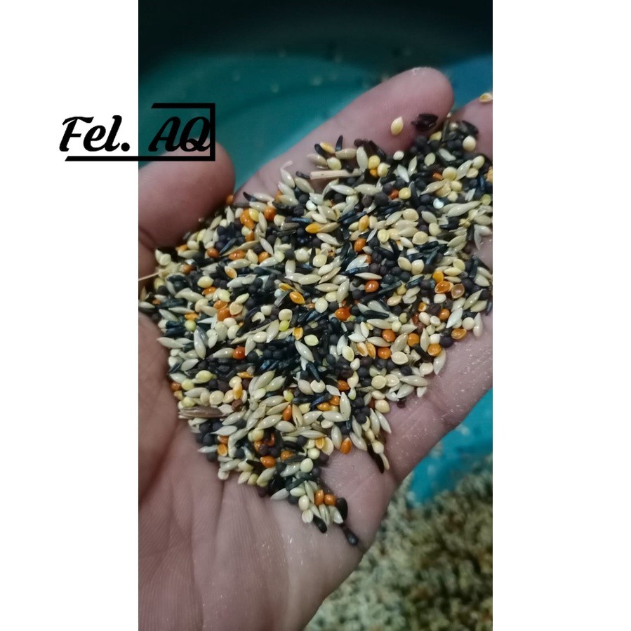 Jual pakan kenari campur dengan kemasan 500gram sangat cocok digunakan ...
