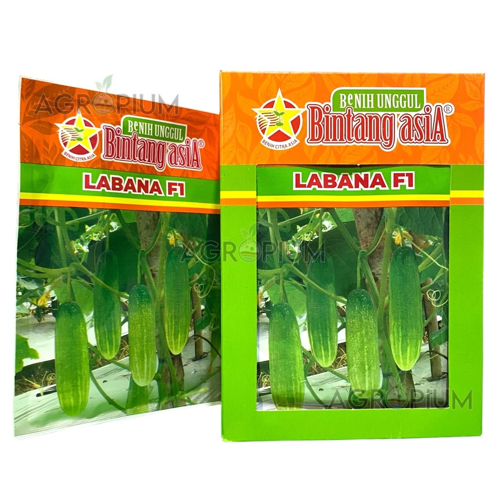 Jual Benih Timun Mentimun LABANA F1 Isi 20 gram Benih Bintang Asia ...