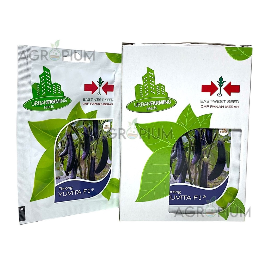 Jual Benih Terong Ungu YUVITA F1 Isi 150 Butir Cap Panah Merah | Shopee Indonesia