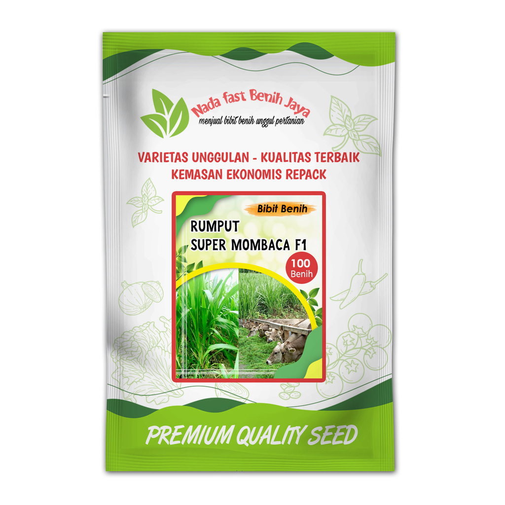 Jual Benih Rumput mombaca super F1 - bibit pakan ternak kambing dan ...
