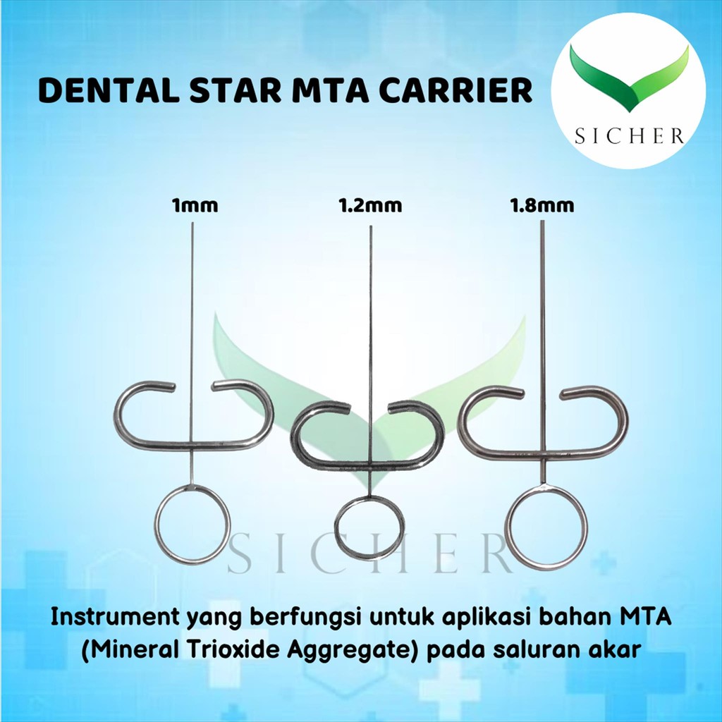 Jual Dental MTA Carrier - Star | Shopee Indonesia