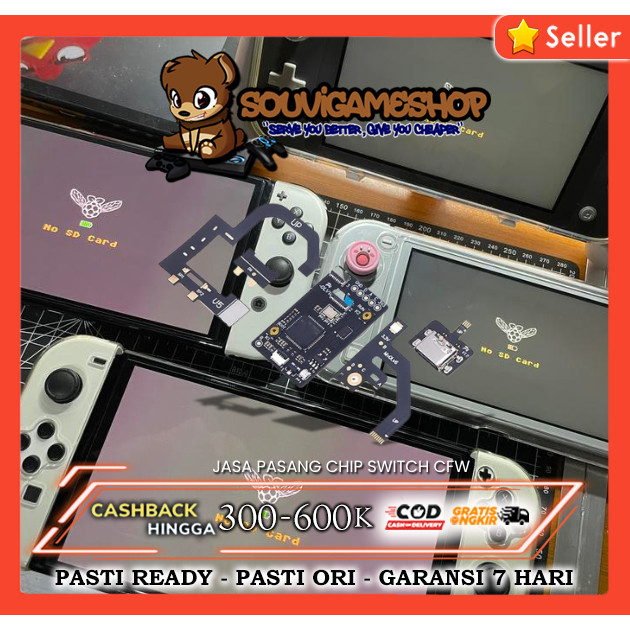 Jual Jasa Pasang IC CFW Chip Pico Fly IC Nintendo Switch V1 V2 Lite ...