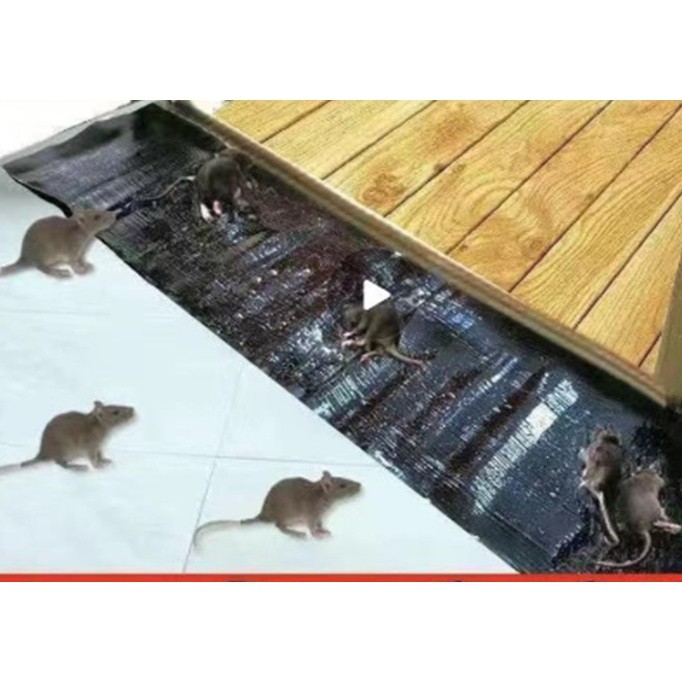 Jual Lem Tikus Harga Terlengkap & Harga Terbaru Mei 2026 | Shopee Indonesia