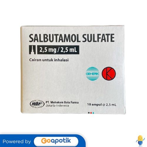 Jual Salbutamol Sulfate Mahakam 1 Mg/Ml Inhalasi 2.5 Ml Box 10 Ampul ...