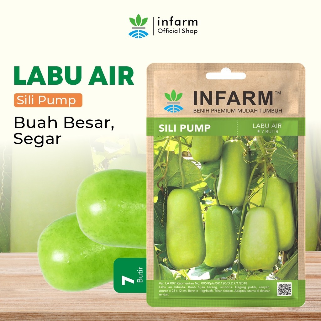 Jual INFARM - Benih Buah Labu Air Unggul, Bibit Buah Labu Air Biji Labu ...