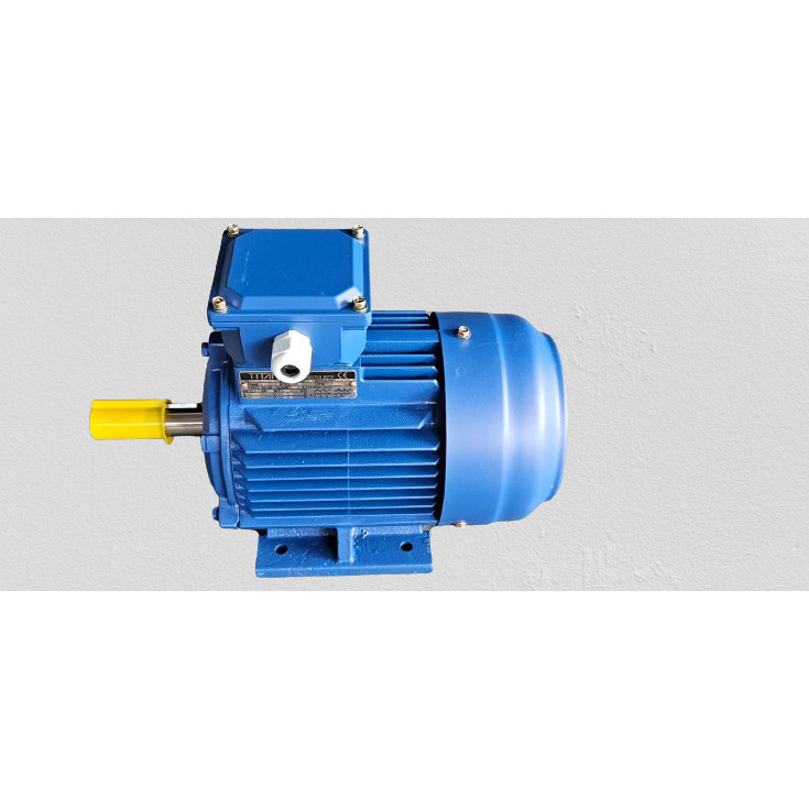 Jual Electric Motor Titan 3000 RPM (2 Pole) 3 KW 4 HP - B3 | Shopee ...