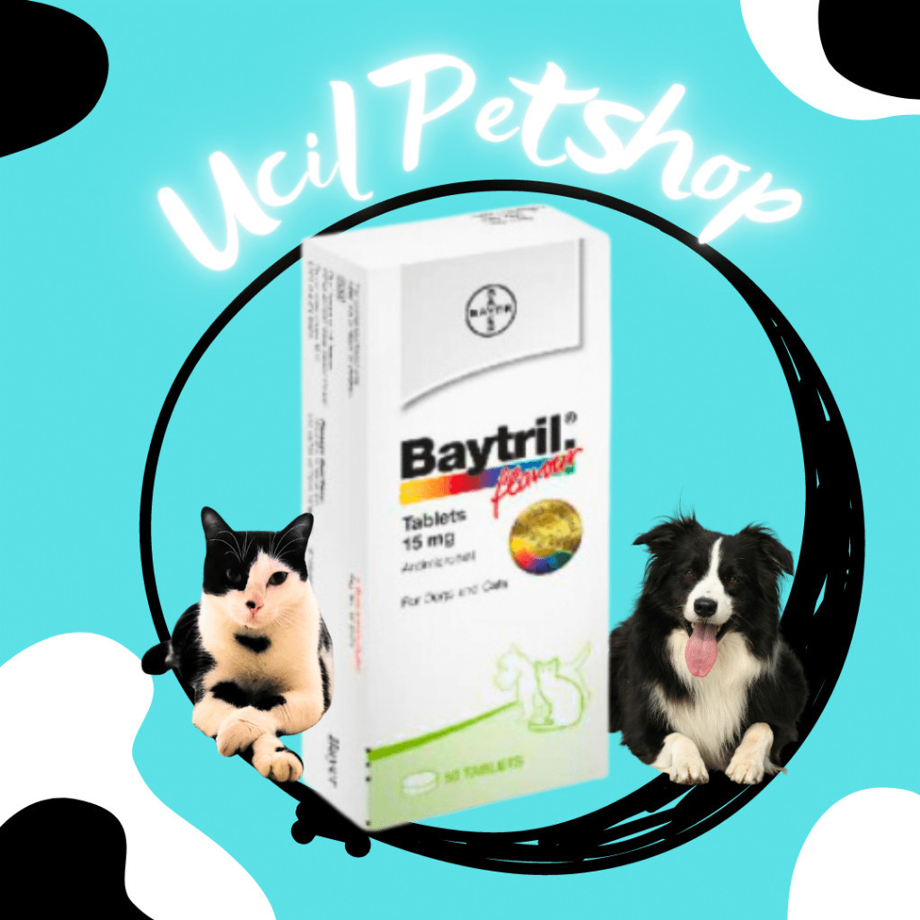 Jual Baytril Flavour Tablet Antibiotik Kucing dan Anjing 15 mg (1 ...