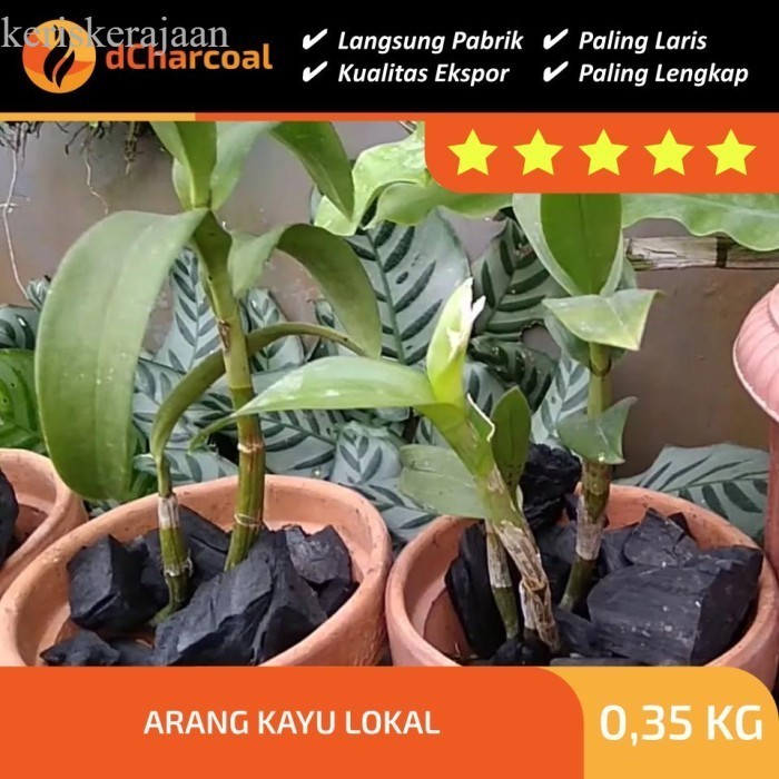 Jual Arang Kayu Media Tanam Hidroponik Anggrek murah | Shopee Indonesia