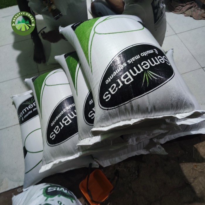 Jual 1 karung benih rumput brachiaria humidicola - 25kg bibit rumput ...