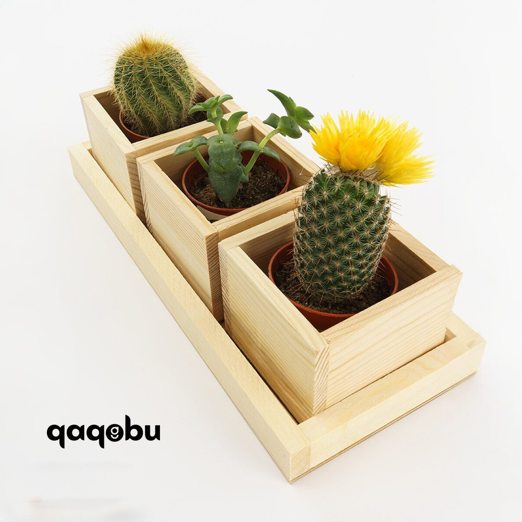 Jual Set 4 Sekat Box Kotak Kayu Sati Paket BOX kayu Kotak Kayu Pinus ...