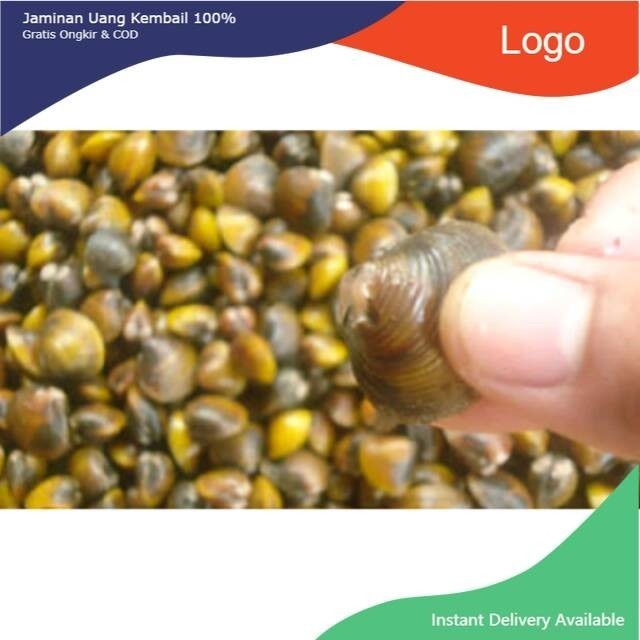 Jual Remis sungai obat herbal liver penyakit kuning cece haremis kerang ...