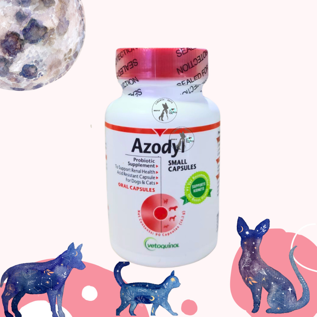 Jual AZODYL Vetoquinol USA Suplemen Ginjal Anjing Kucing 90 Kapsul (1 ...