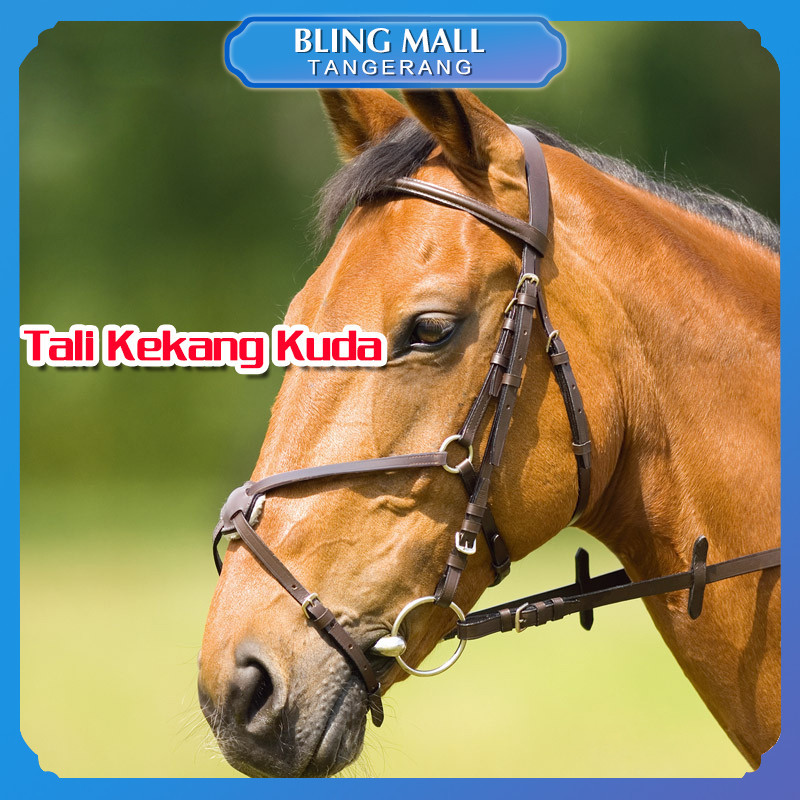 Jual Briddle Kuda Tali Kekang Kepala Kuda Bahan Nilon Bisa Dilepas ...