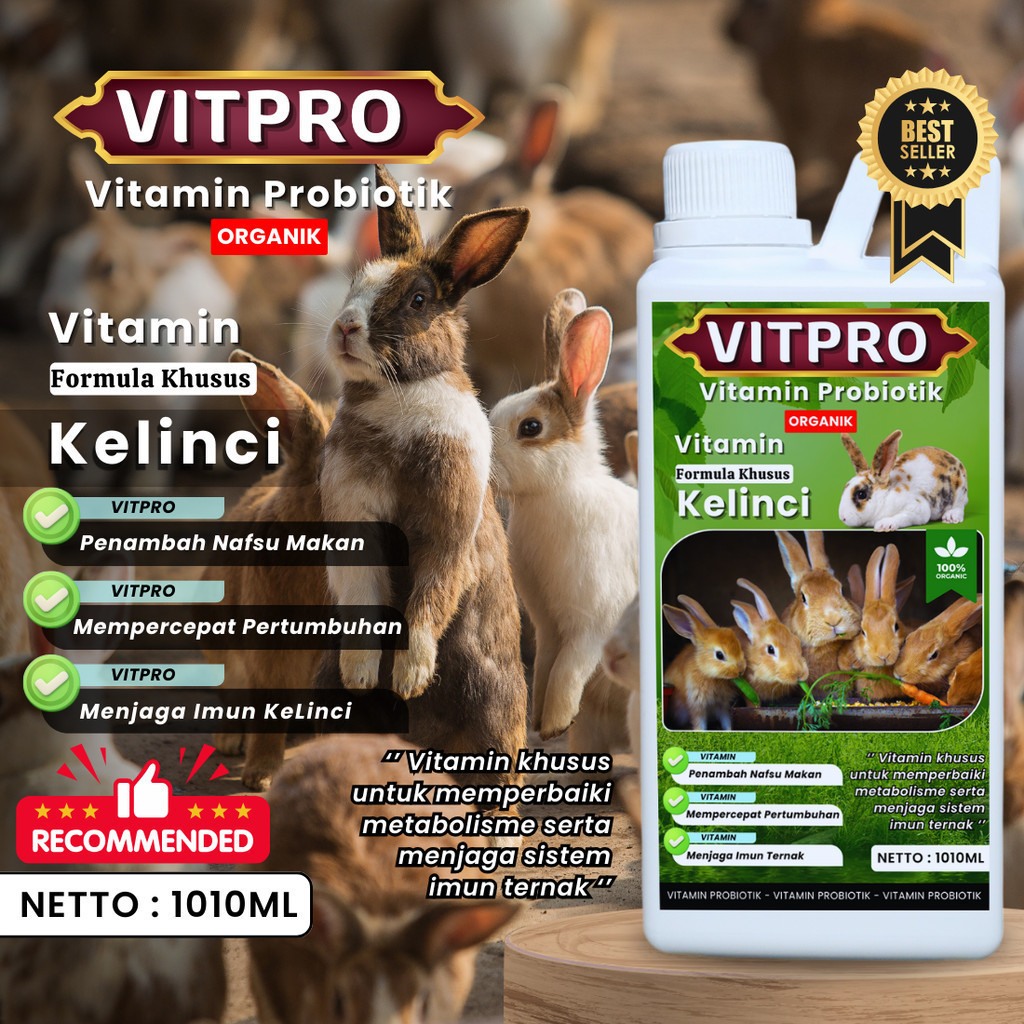 Jual VITPRO Vitamin Probiotik Vitamin Suplemen Kelinci Hias Anggora ...