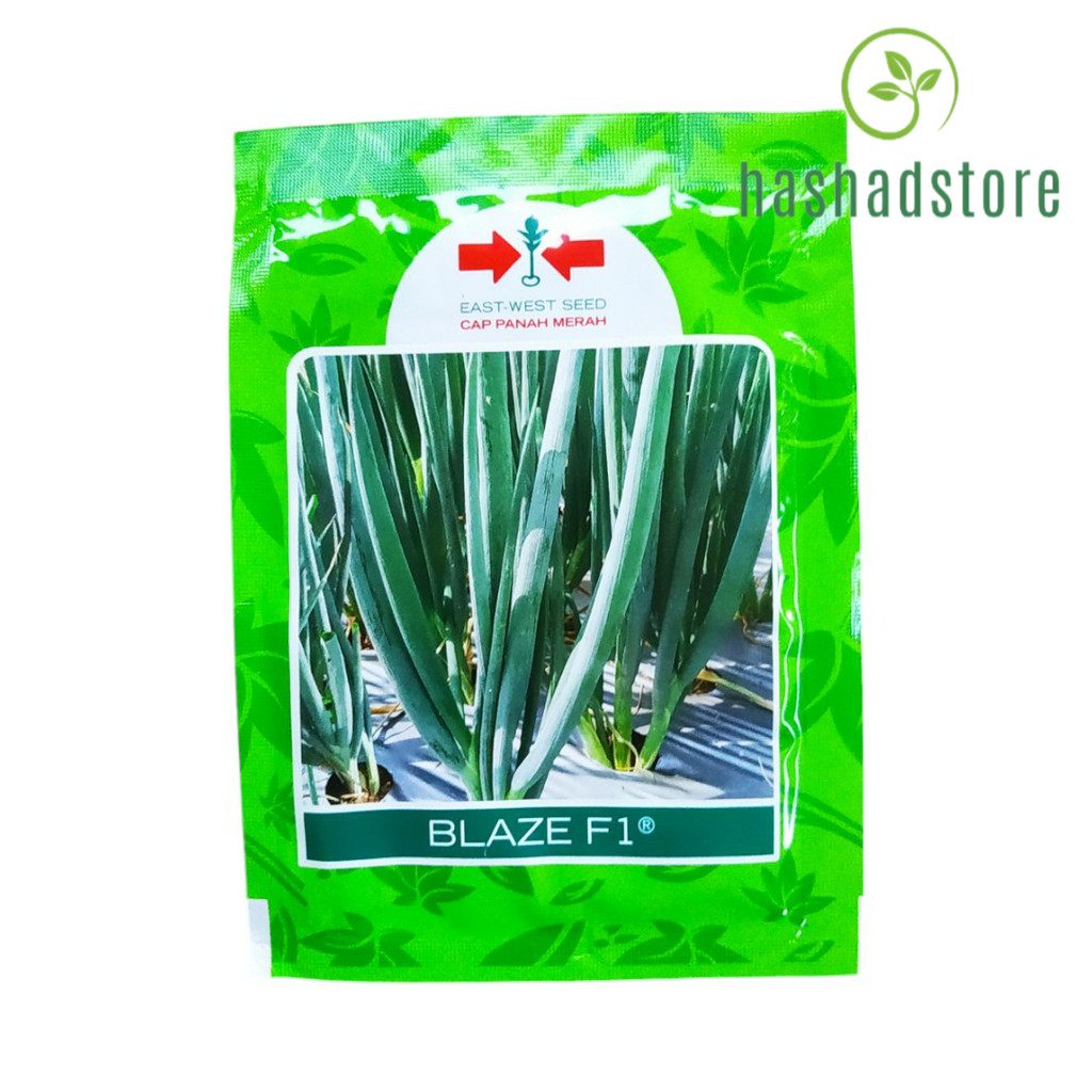 Jual Benih Daun Bawang BLAZE F1 Isi 10 gram Cap Panah Merah | Shopee ...