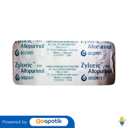 Jual Zyloric 100 Mg Blister 10 Tablet | Shopee Indonesia