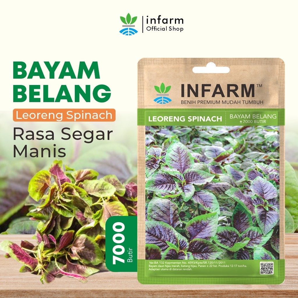 Jual INFARM-Benih Bibit Sayur Bayam Benih Sayuran Bayam Loreng Bibit ...