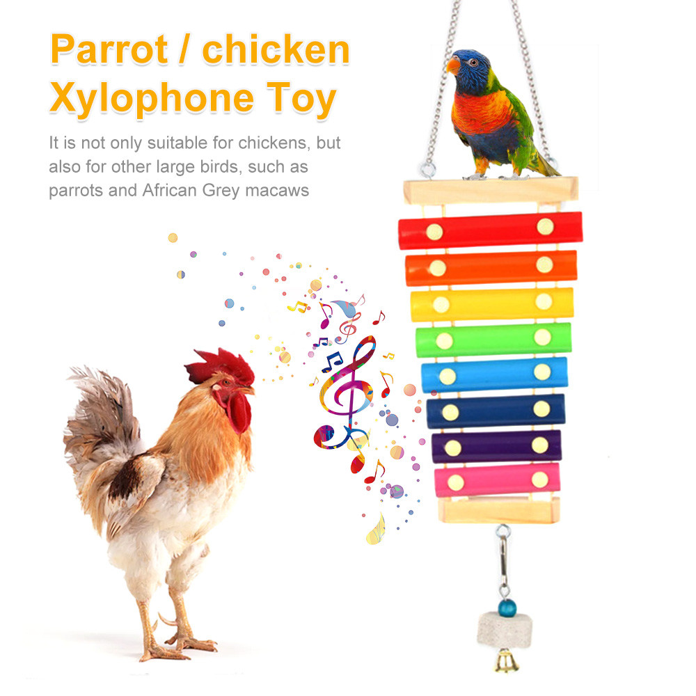 Jual Bird Chicken Xylophone Toy Wooden Suspensible Bird Cage ...