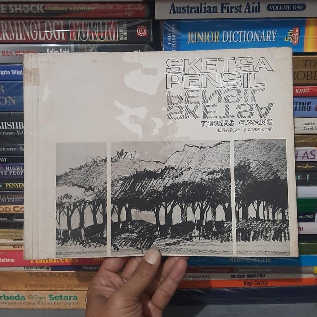 Jual sketsa pensil by thomas c wang ORIGINAL | Shopee Indonesia