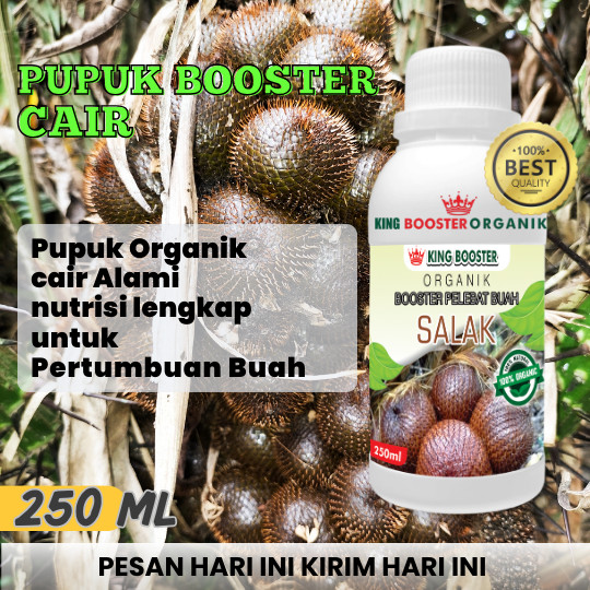 Jual Pupuk Booster cair Buah salak Agar Cepat Berbuah, Pupuk Salak Pondoh Terbaik 250ml | Shopee ...