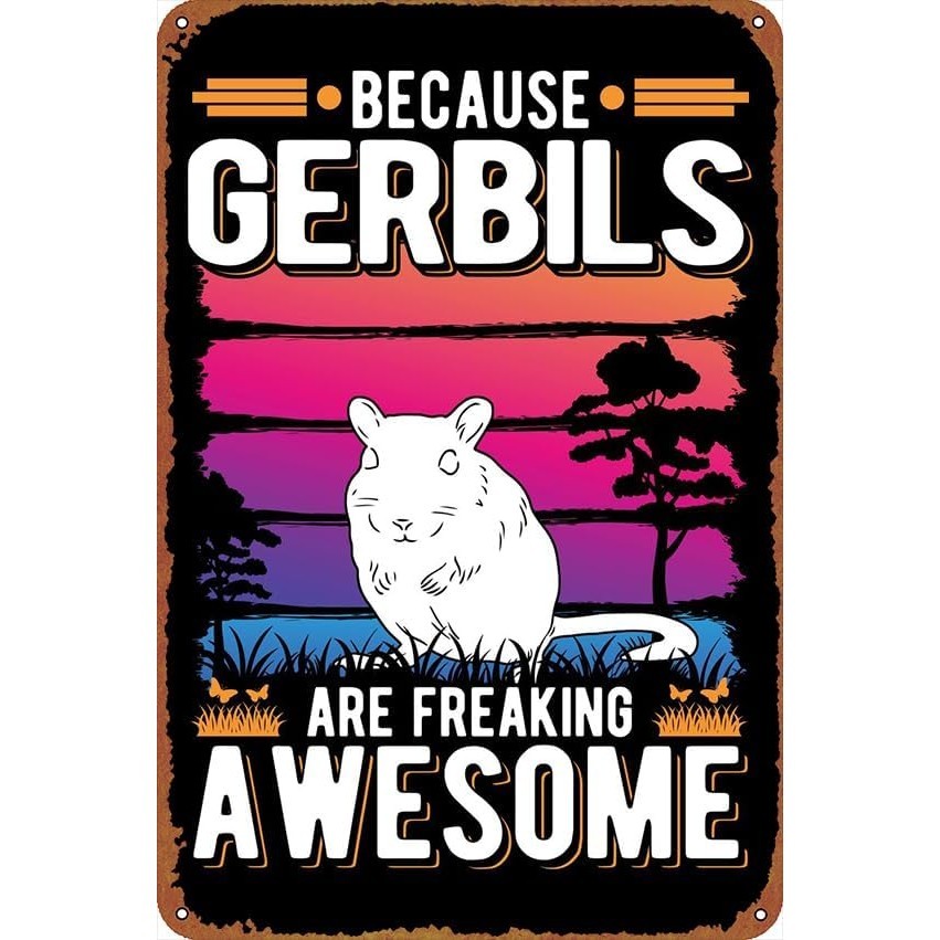 Jual Gerbil Racing rat Poster Vintage Cute Metal Sign Gift Retro ...