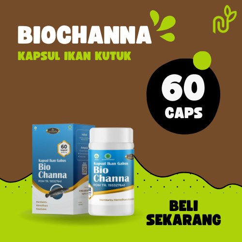 Jual BIOCHANNA Obat Pengering Luka Operasi, Luka Diabetes Herbal Ampuh ...