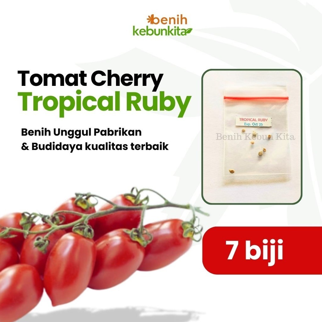 Jual Benih Tomat Cherry Tropical Ruby Biji Tanaman Tomat Ceri Tropical Ruby | Shopee Indonesia