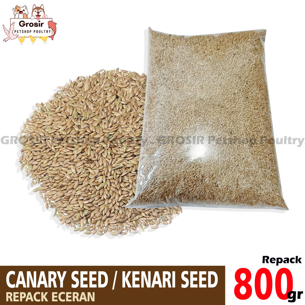 Jual Kenari seed Canary seed 800 gram | Shopee Indonesia