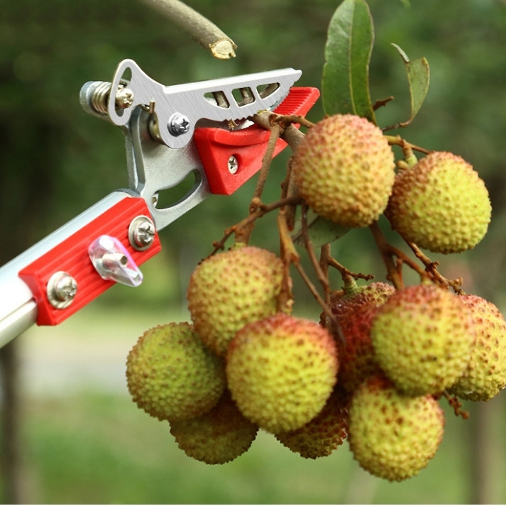 Jual Tree Pruner Galah Tongkat Pemotong Gergaji Gunting Dahan Ranting Tarik untuk Pohon yang ...