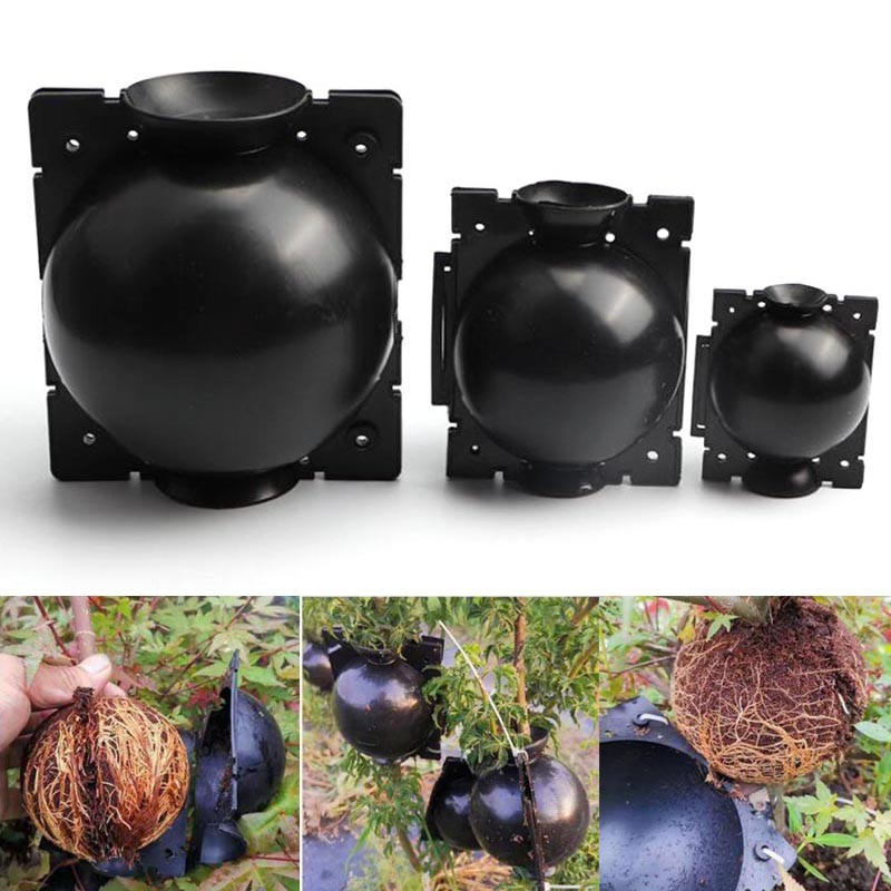 Jual Plant Rooting Ball Case, Fruit Tree Root Box, Planter Cases ...