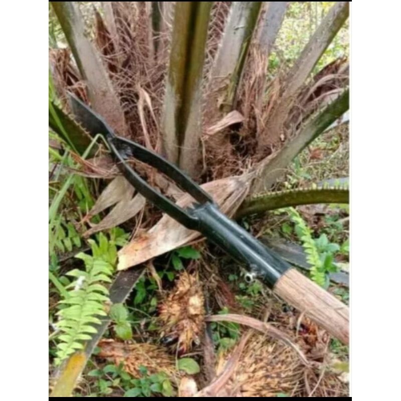 Jual Murah DODOS KATRASI ALAT BUANG DOMPET SAWIT SPP, 777 CSMEL PUTIH CAMEL HITAM PERTANIAN TANI ...