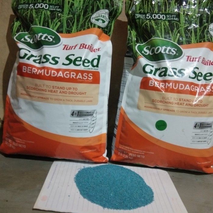 Jual benih bibit biji rumput bermuda grass 1Kg | Shopee Indonesia