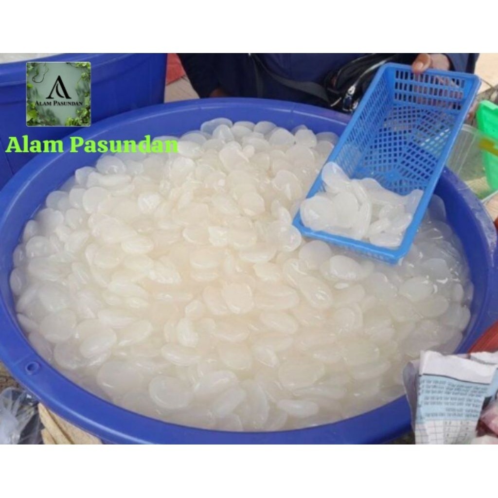 Jual cangkaleng/kolang-kaling super segar 500gr/1kg | Shopee Indonesia