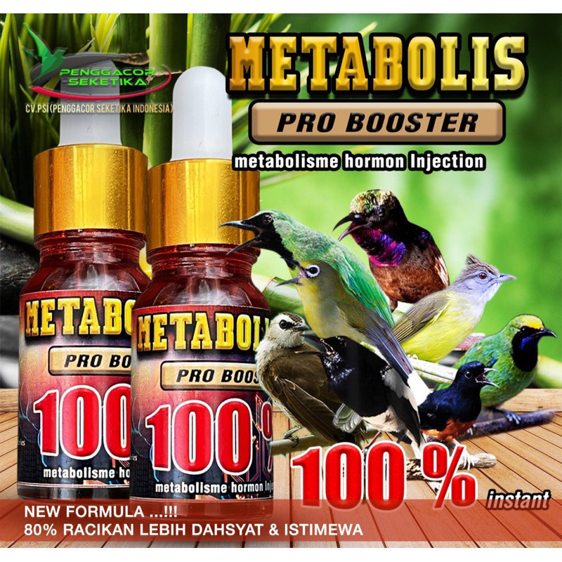 Jual [BEST SELLER] Metabolis Pro Booster 10ml Metabolisme Hormon ...