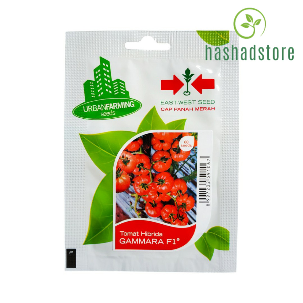 Jual Benih Tomat Keriting GAMMARA F1 60 Butir Cap Panah Merah | Shopee ...