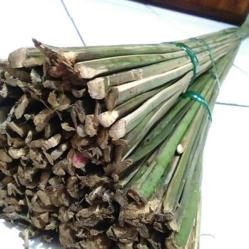 Jual cod BEST SELLER SAPU LIDI AREN ASLI KUALITAS SUPER . . | Shopee ...