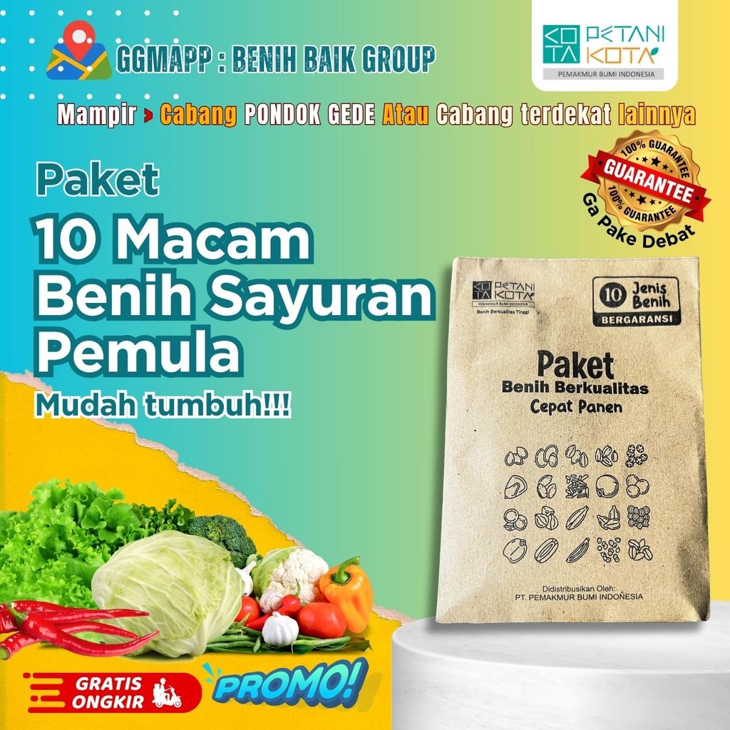 Jual Paket 10 Benih Sayur Lengkap Varian Premium | Benih Sayuran Unggul ...