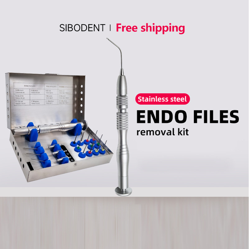 Jual Dental Endodontic Endo File Removal System Kit Endo Broken File Removal Instrument Set Root ...