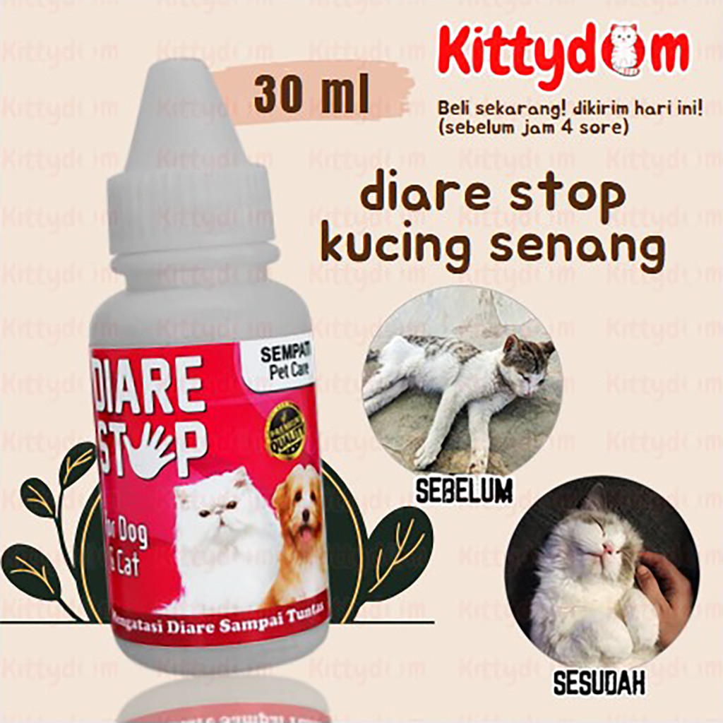 Jual KITTYDOM Obat Kucing Diare Stop 30 ml Atasi Sakit Diare Mencret ...