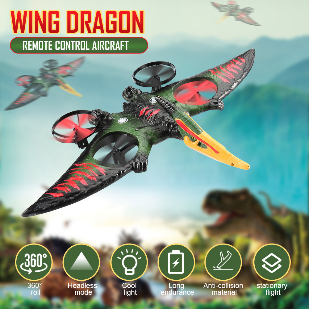 Jual Pterosaur RC Plane 2.4G EPP Foam Anti-Wear RC Drone with LED Light ...