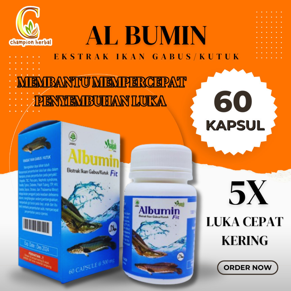 Jual Albumin Kapsul Ikan Gabus Obat Pra Operasi Cesar albumin inayah 60 ...