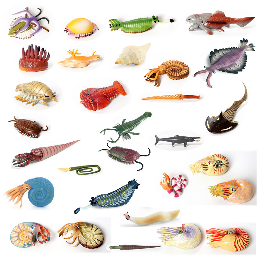 Jual Plastic Prehistoric Sea Creature Ancient Cambrian Ocean Animal ...