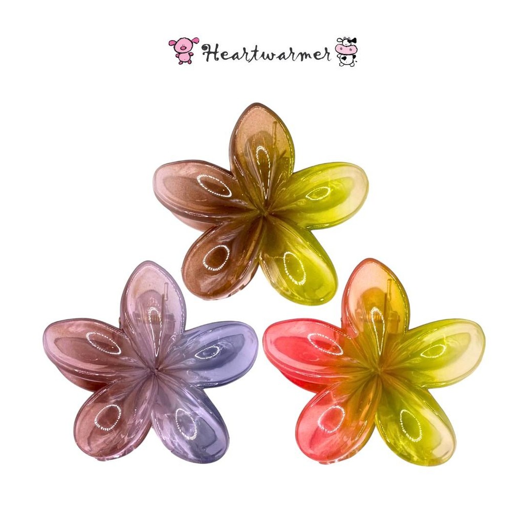 Jual Jepit Bunga Kemboja Bali Gradasi Warna Besar | Shopee Indonesia