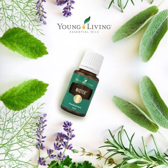 Jual young essential mister 15ml living yl original | Shopee Indonesia