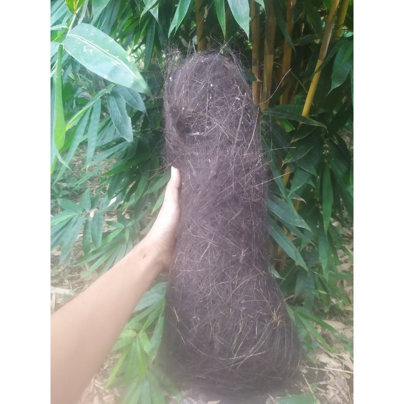 Jual ijuk Aren hitam resapan mentahan septiktank sumur pondasi tanah ...