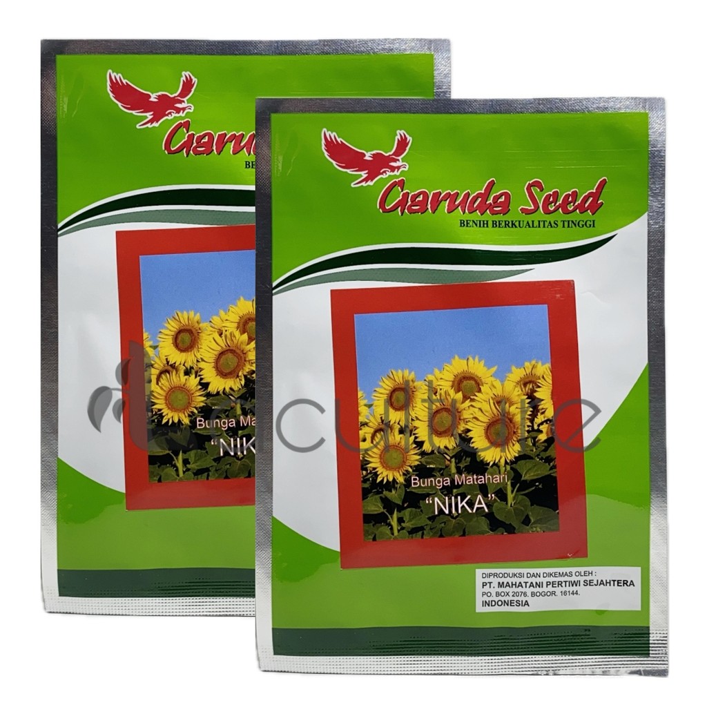Jual Benih Bunga Matahari Nika Isi 5 Gram Kemasan Pabrik Garuda Seed ...