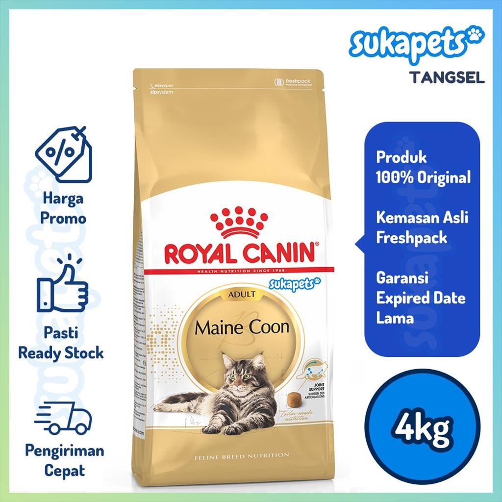 Jual Royal Canin Adult Maine Coon Makanan Kucing Dewasa 4kg | Shopee ...