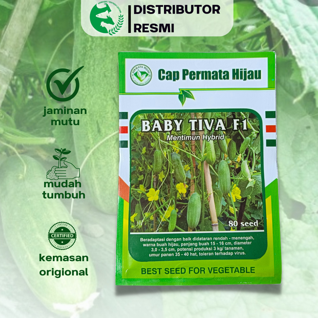 Jual Benih Timun BABY TIVA F1 80 Biji Cap PERMATA HIJAU Timun Lalap ...